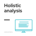 What is Holistic Analysis - Definition and Examples