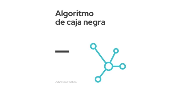 Esquema De Caja Negra Abierta