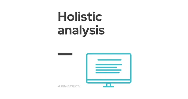 What is Holistic Analysis - Definition and Examples