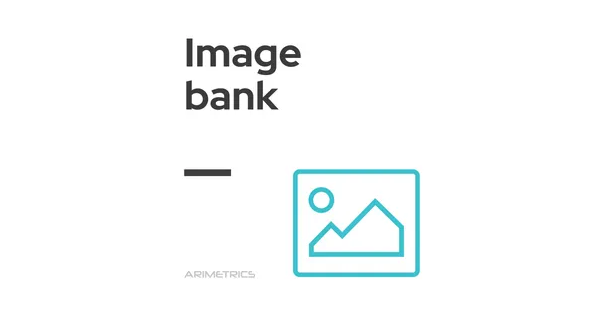 What is Image Bank - Definition and examples